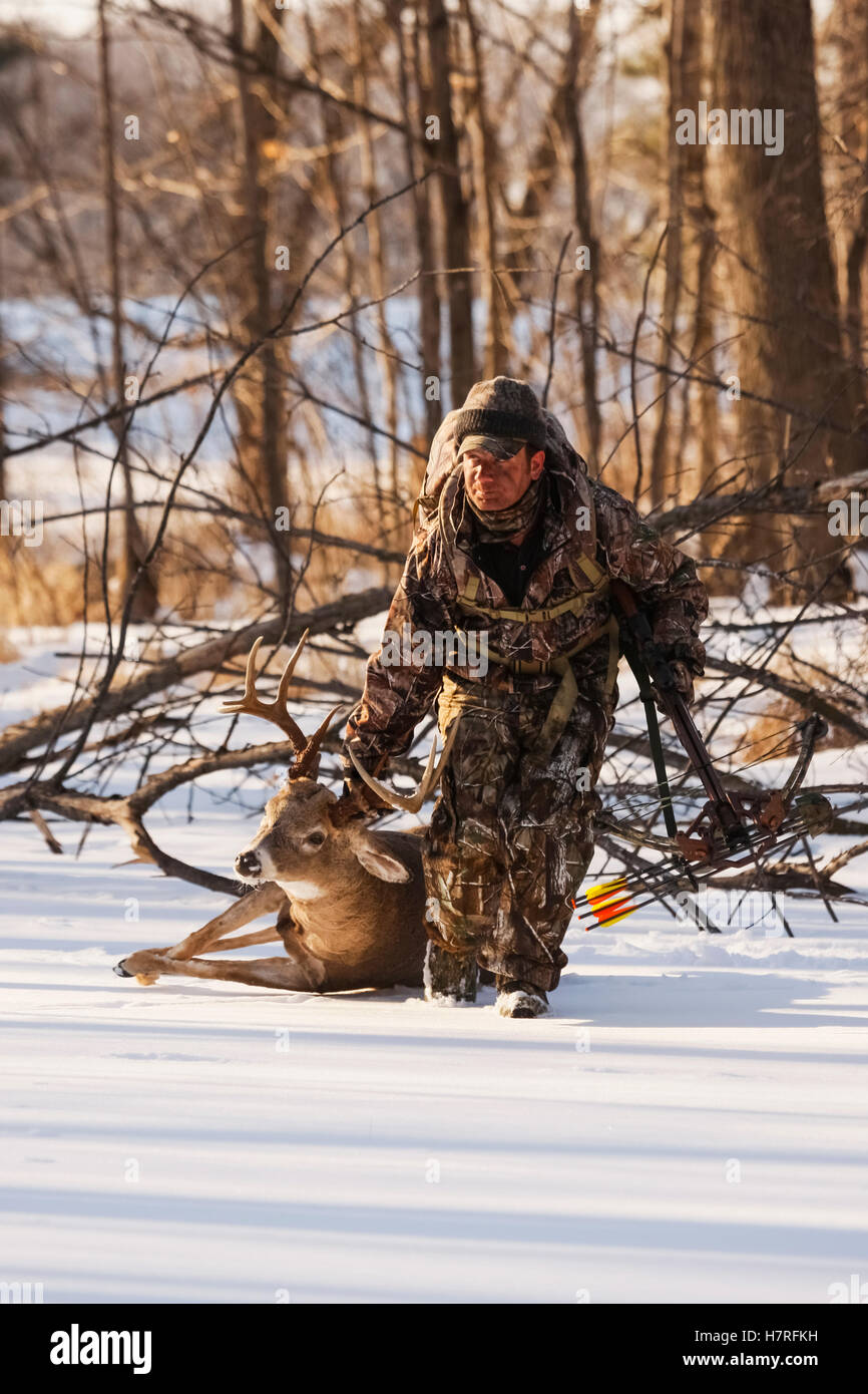 Hunter dragging whitetail buck deer hi-res stock photography and images ...