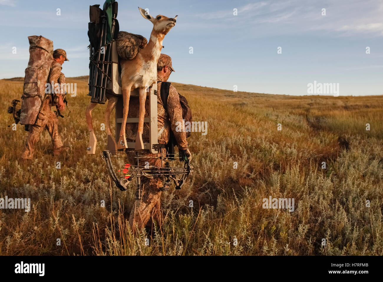 Antelope Hunt With Decoys Stock Photo - Alamy