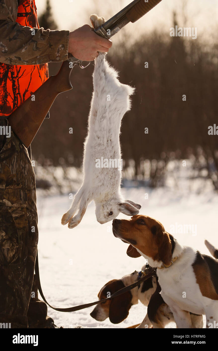 Hare hunter hi-res stock photography and images - Alamy
