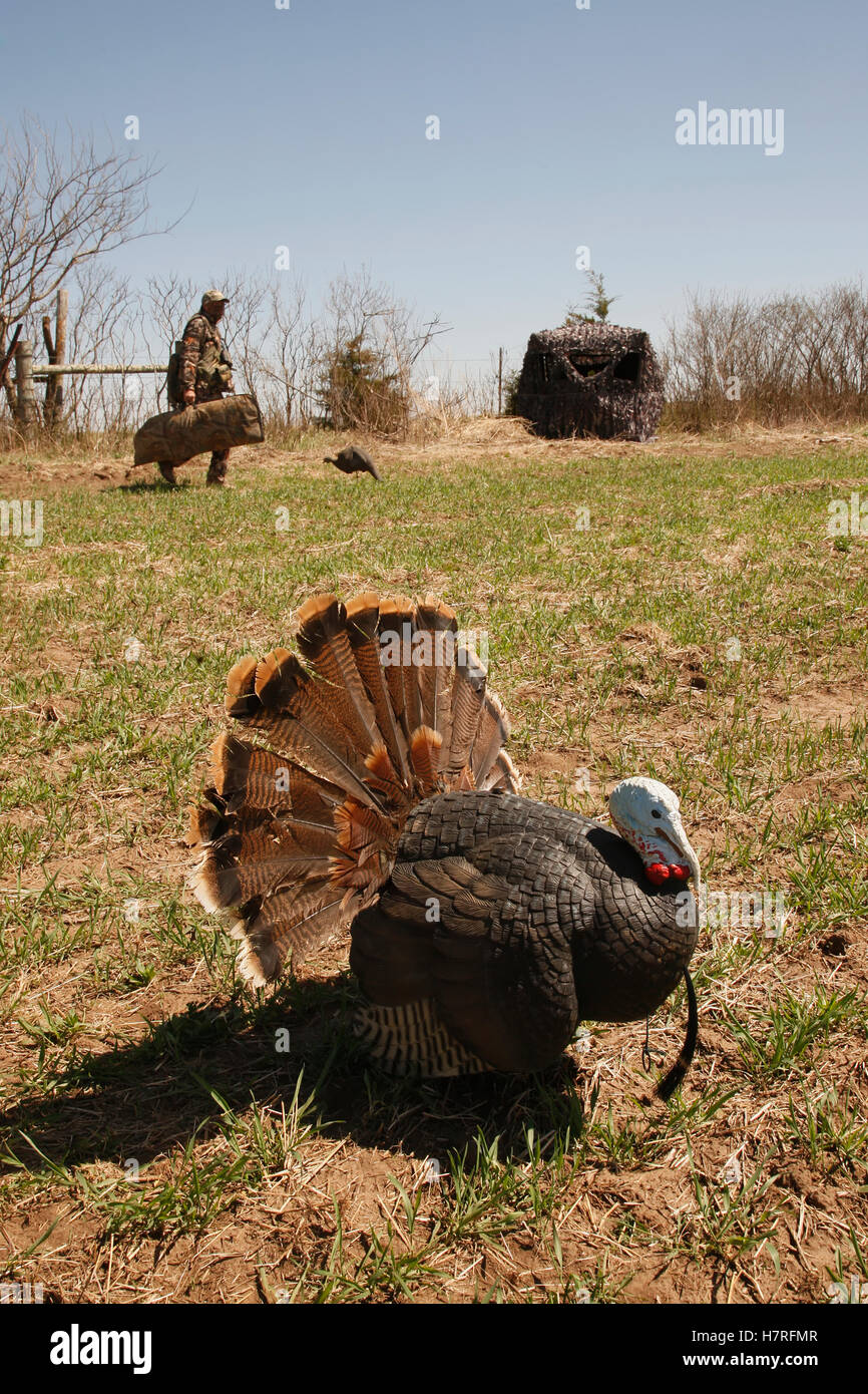Turkey archery hunting hi-res stock photography and images - Alamy