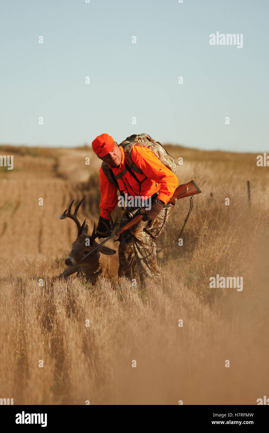 Deer Hunter Dragging Dead Deer Across Field Stock Photo - Alamy
