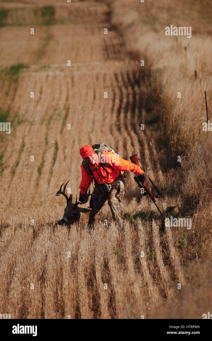 Deer Hunter Dragging Dead Deer Across Field Stock Photo - Alamy