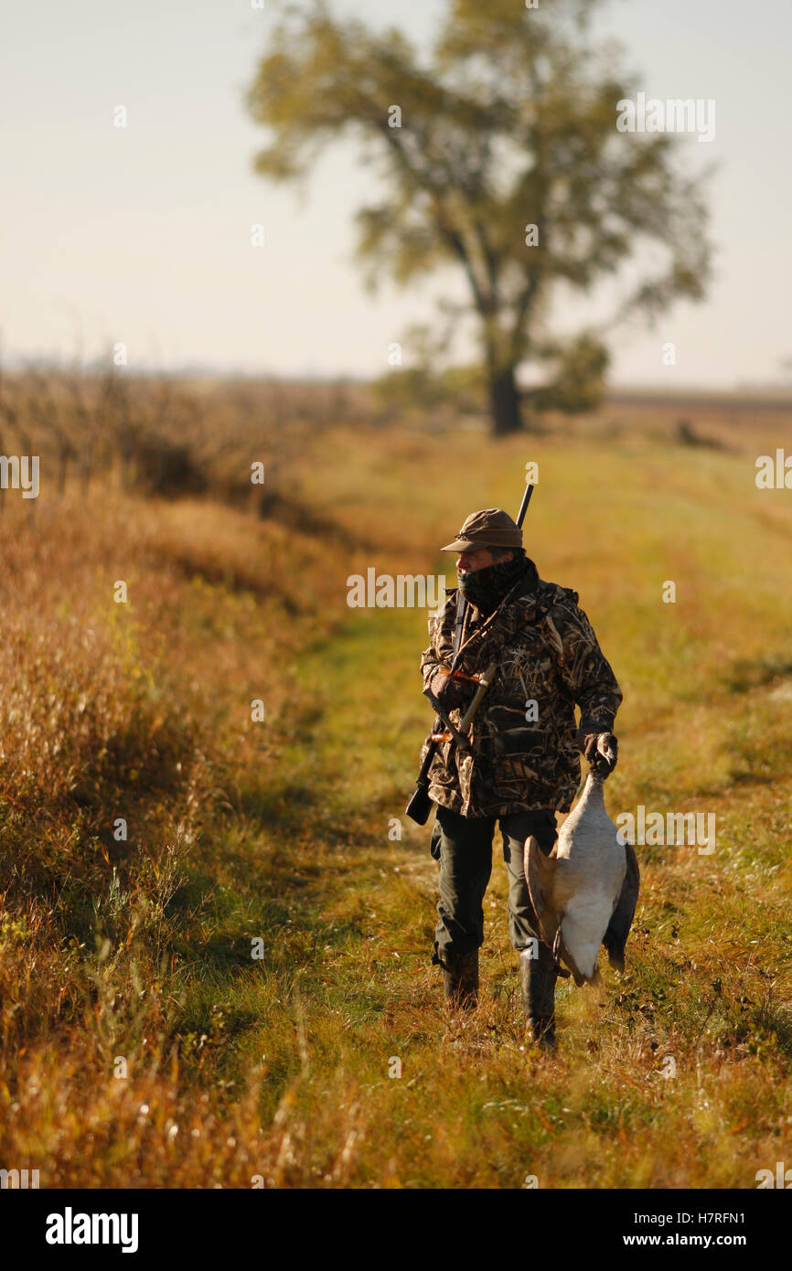 Dead goose hi-res stock photography and images - Alamy