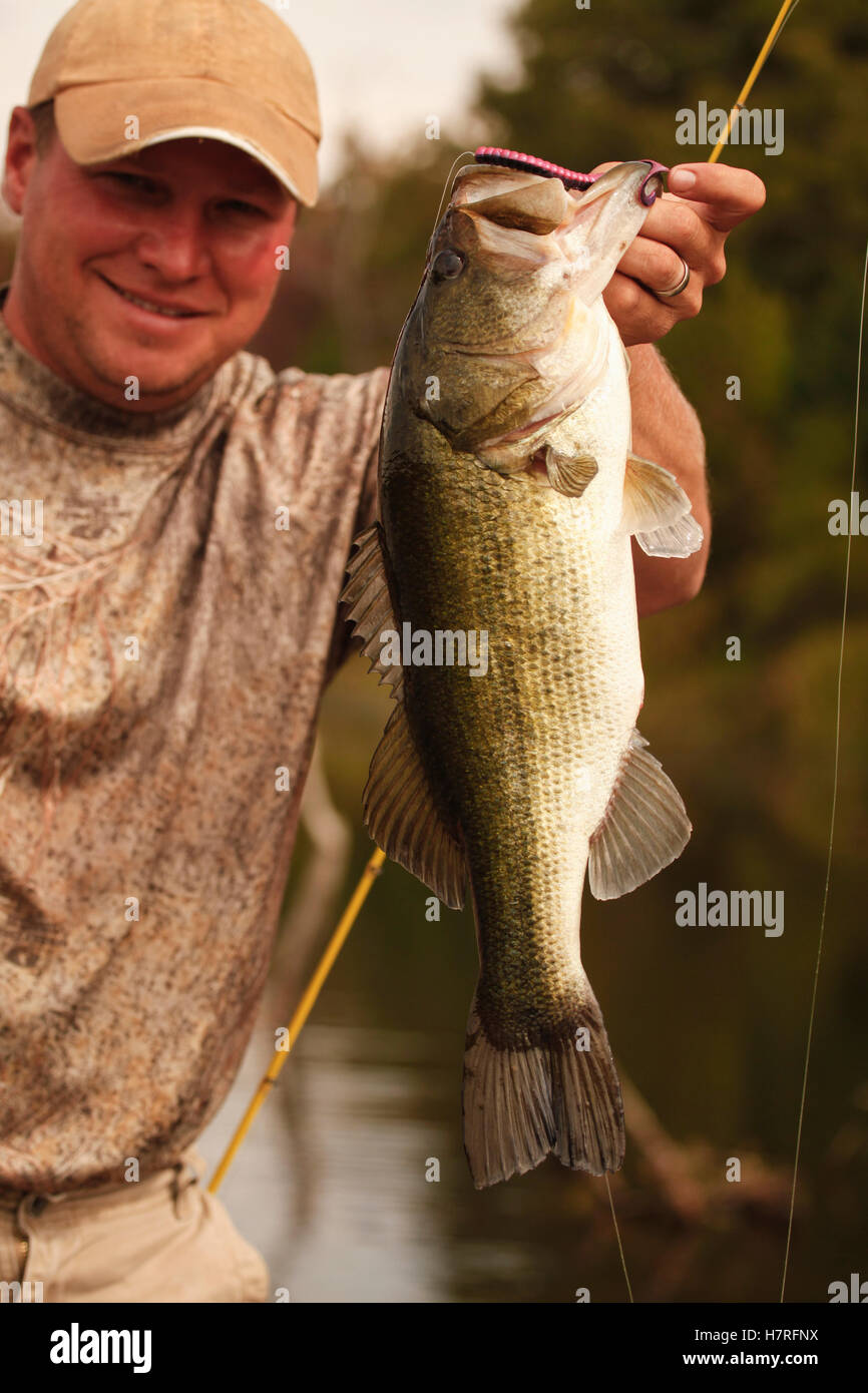 Fisherman Holds Up Freshly Caught Bass Stock Photo - Alamy