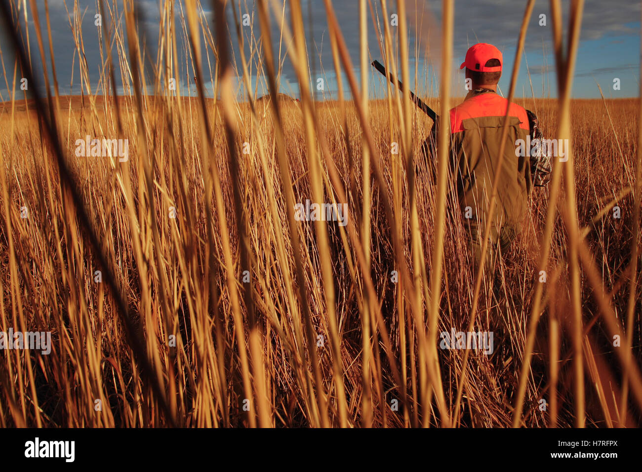 Person in tall grass north america hi-res stock photography and images ...