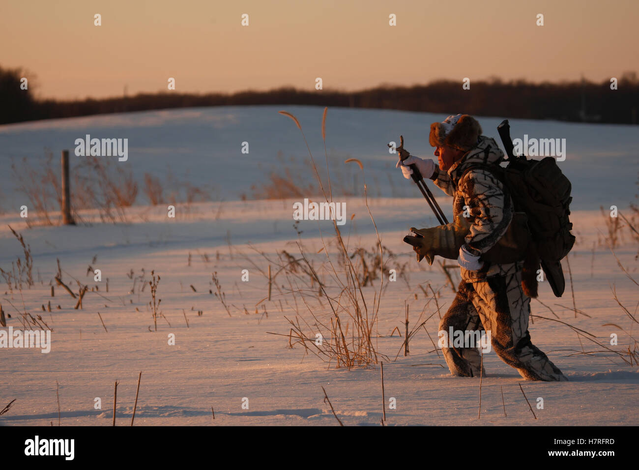 Predator activities hi-res stock photography and images - Alamy