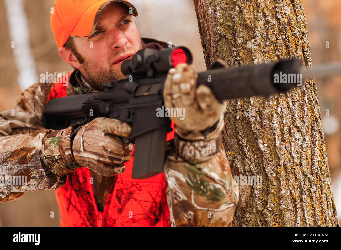 Whitetail Deer Hunter Aims Ar15 Stock Photo - Alamy