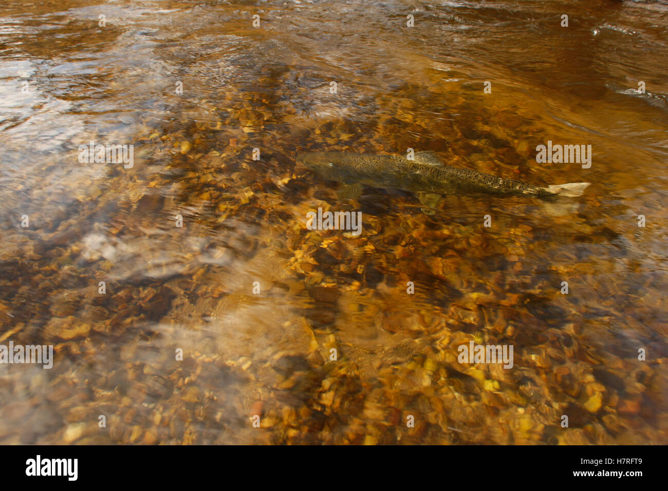Water Shot From Boat Stock Photo - Alamy