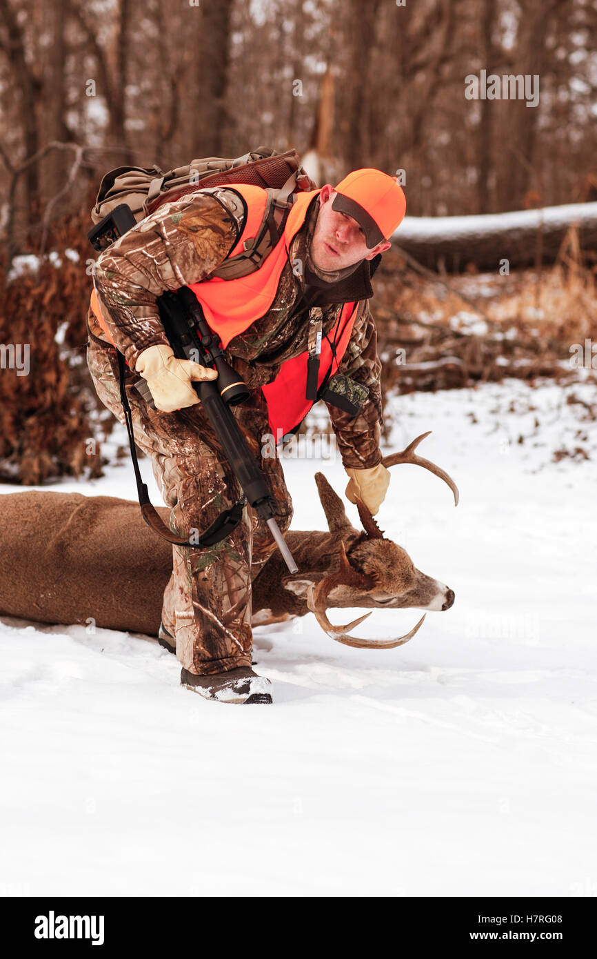 Whitetail Hunter Drags Deer Stock Photo - Alamy