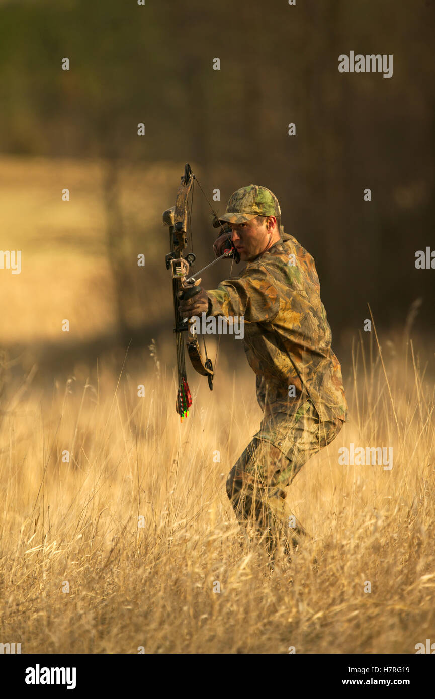 Bow hunting deer hi-res stock photography and images - Alamy