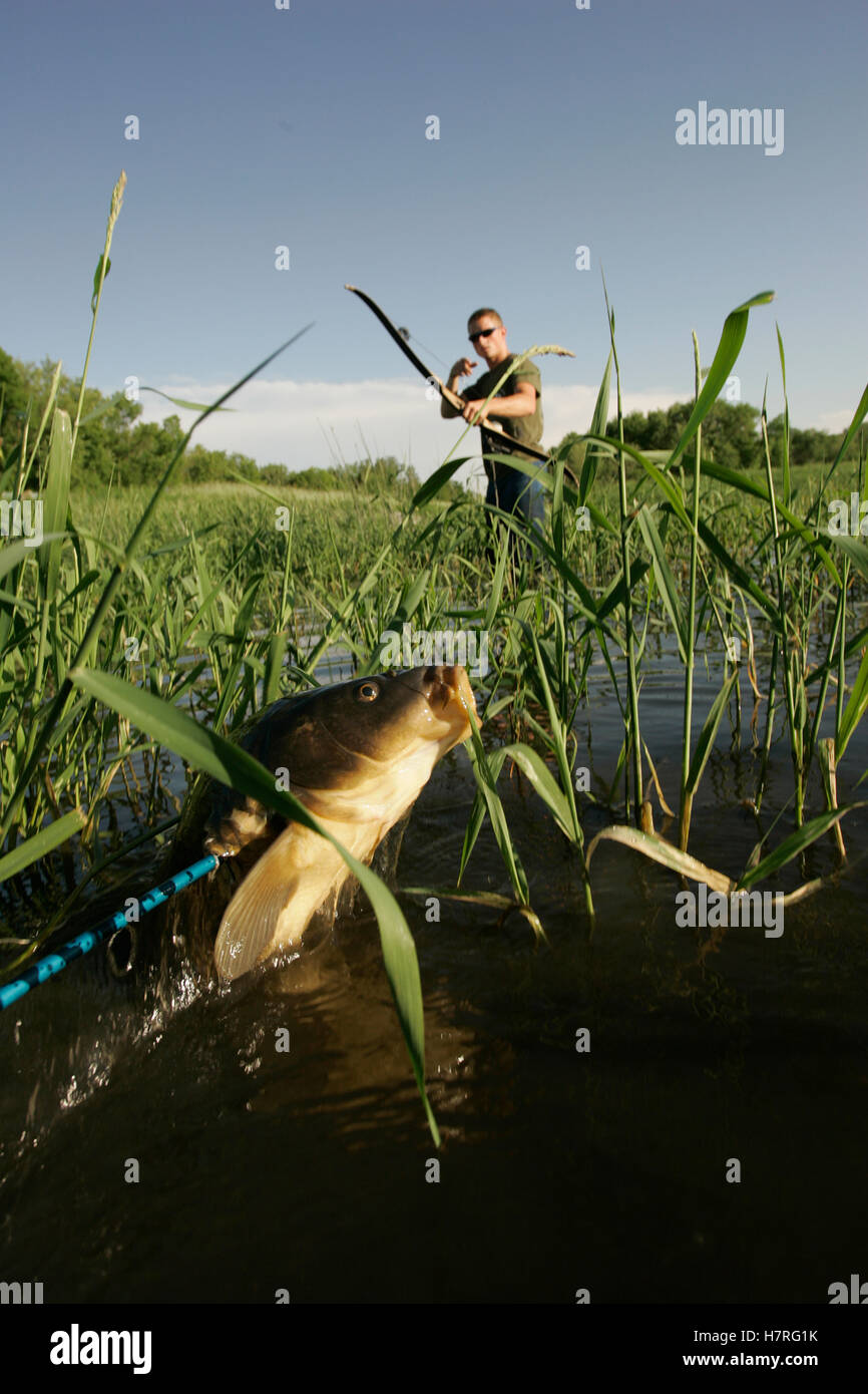 Bowfishing Carp Logos