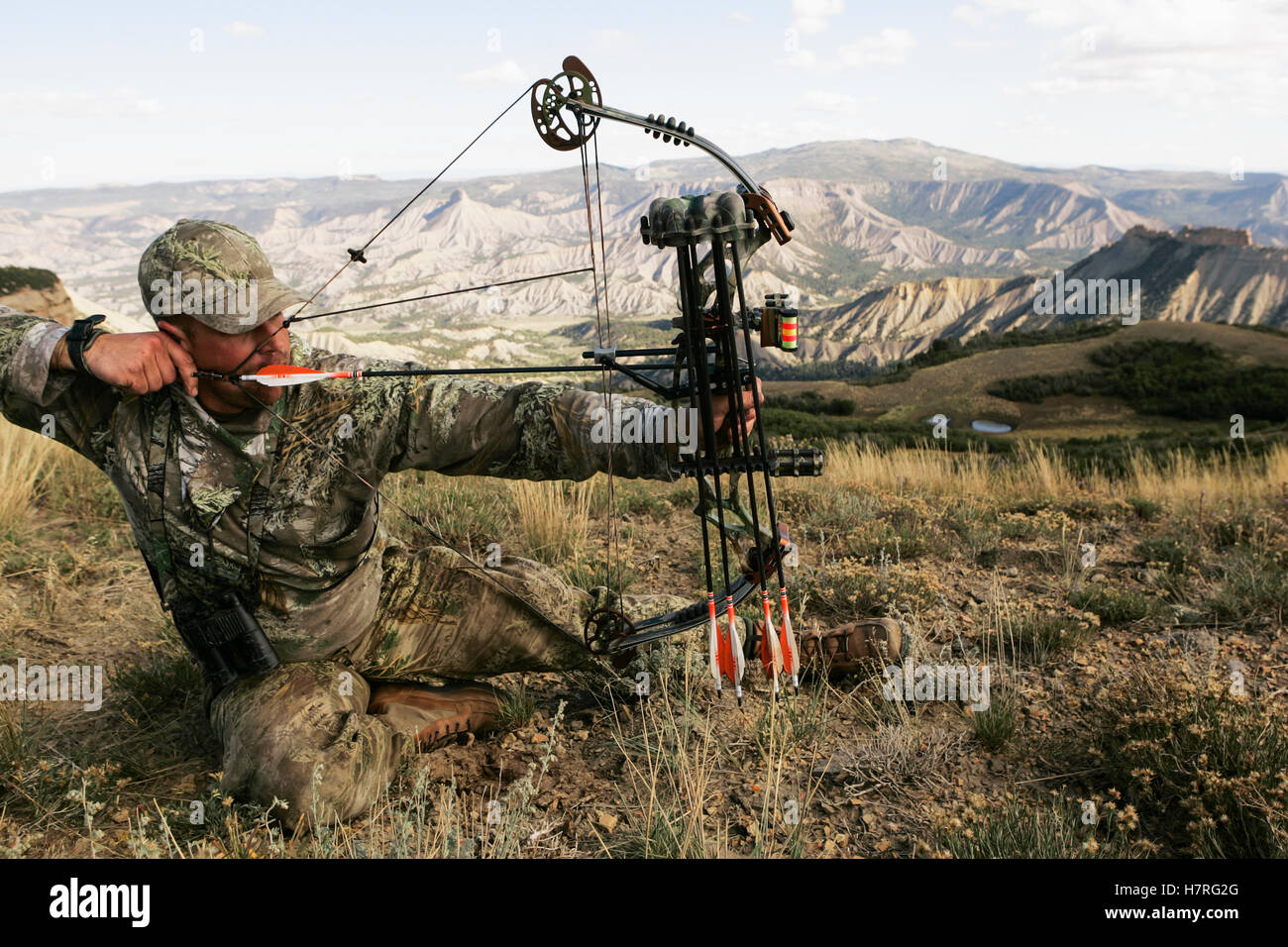 Elk Hunter Drawing Bow Stock Photo - Alamy