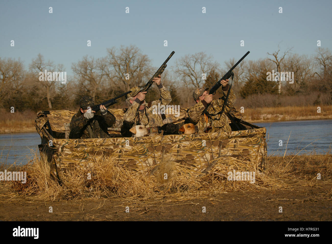 Waterfowl Hunters In Blind Aiming At Birds Stock Photo - Alamy