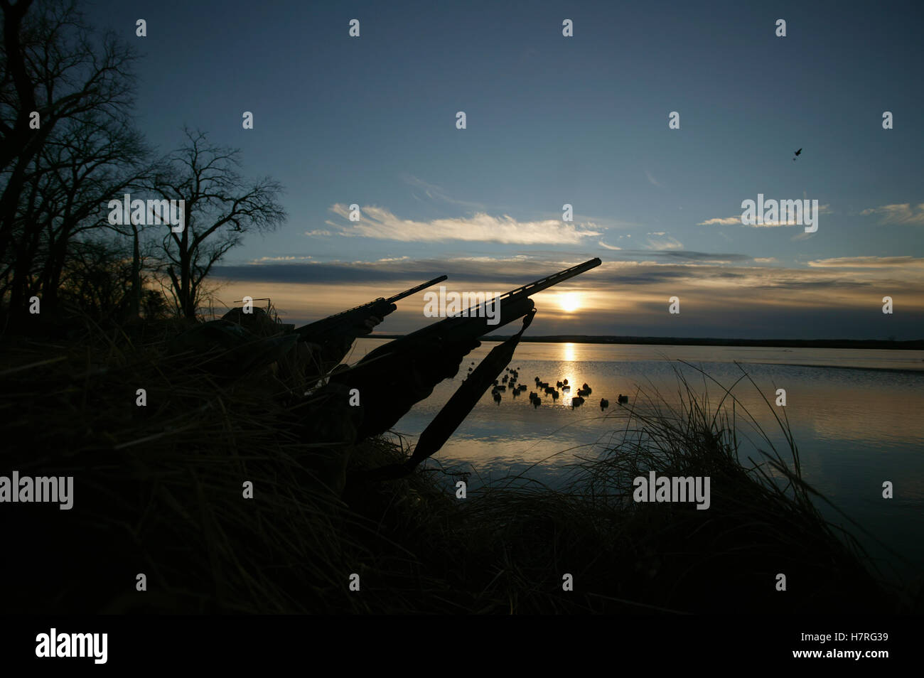 Waterfowl Hunters A Sunrise Stock Photo - Alamy