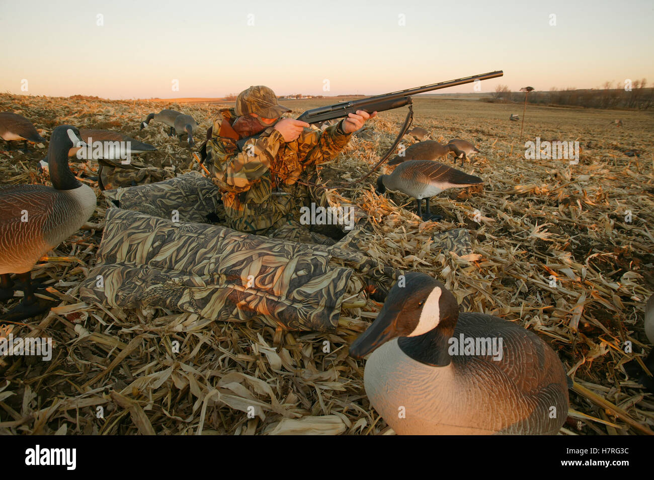 Waterfowl hunters in ground hi-res stock photography and images - Alamy