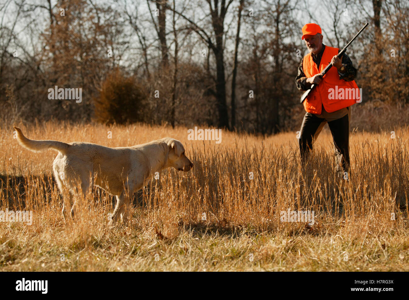 Upland Bird Hunter With Dog Stock Photo - Alamy