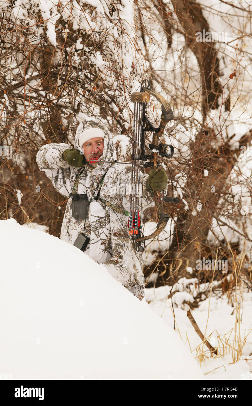Male Bowhunter Draws Bow In Snow While Deer Hunting Stock Photo - Alamy