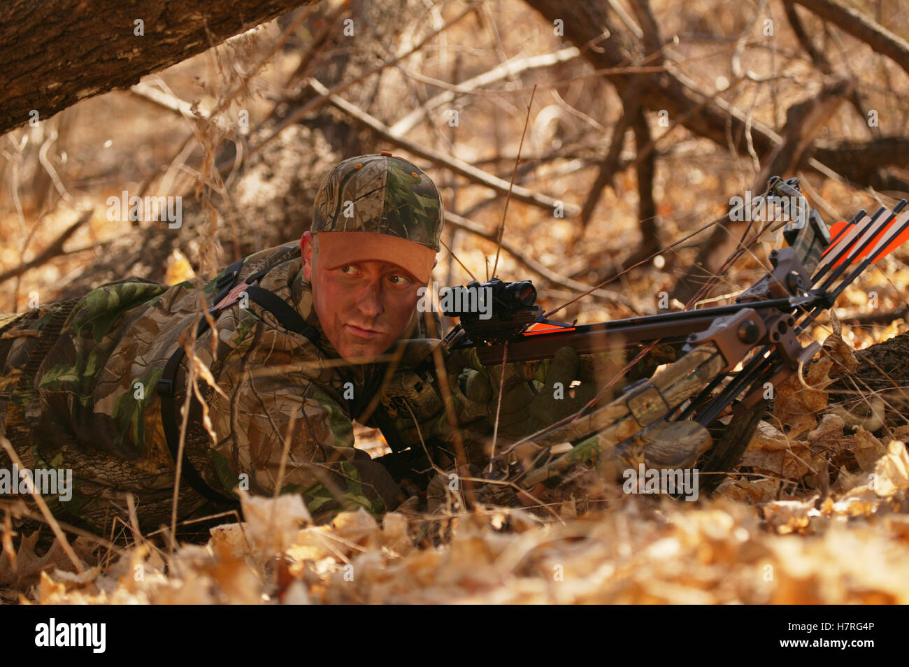 Bowhunter Turkey Hunting Stock Photo - Alamy
