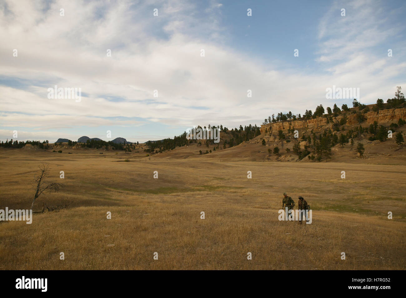 Big Game Hunters Hunting In Field Stock Photo - Alamy