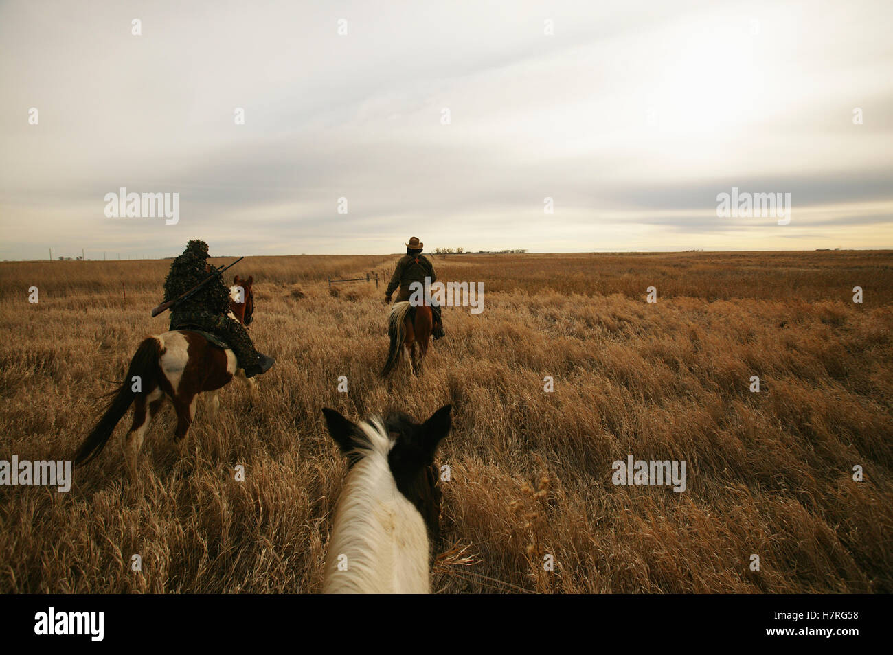 Varmint hunter camouflage hi-res stock photography and images - Alamy