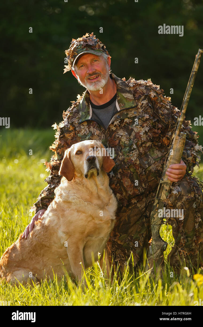 Yellow lab mature dog hi-res stock photography and images - Alamy
