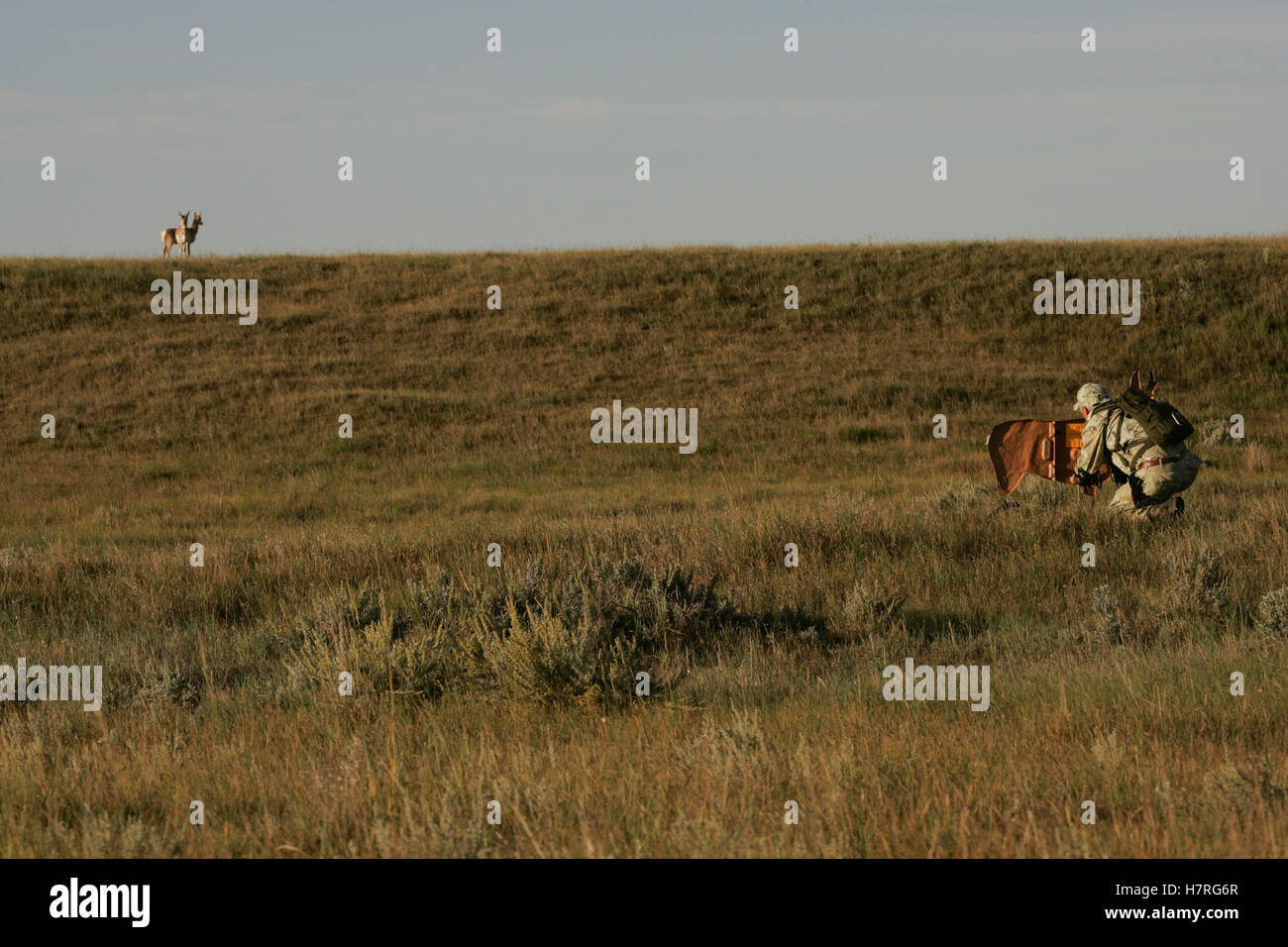 Tracking in the outback hi-res stock photography and images - Alamy