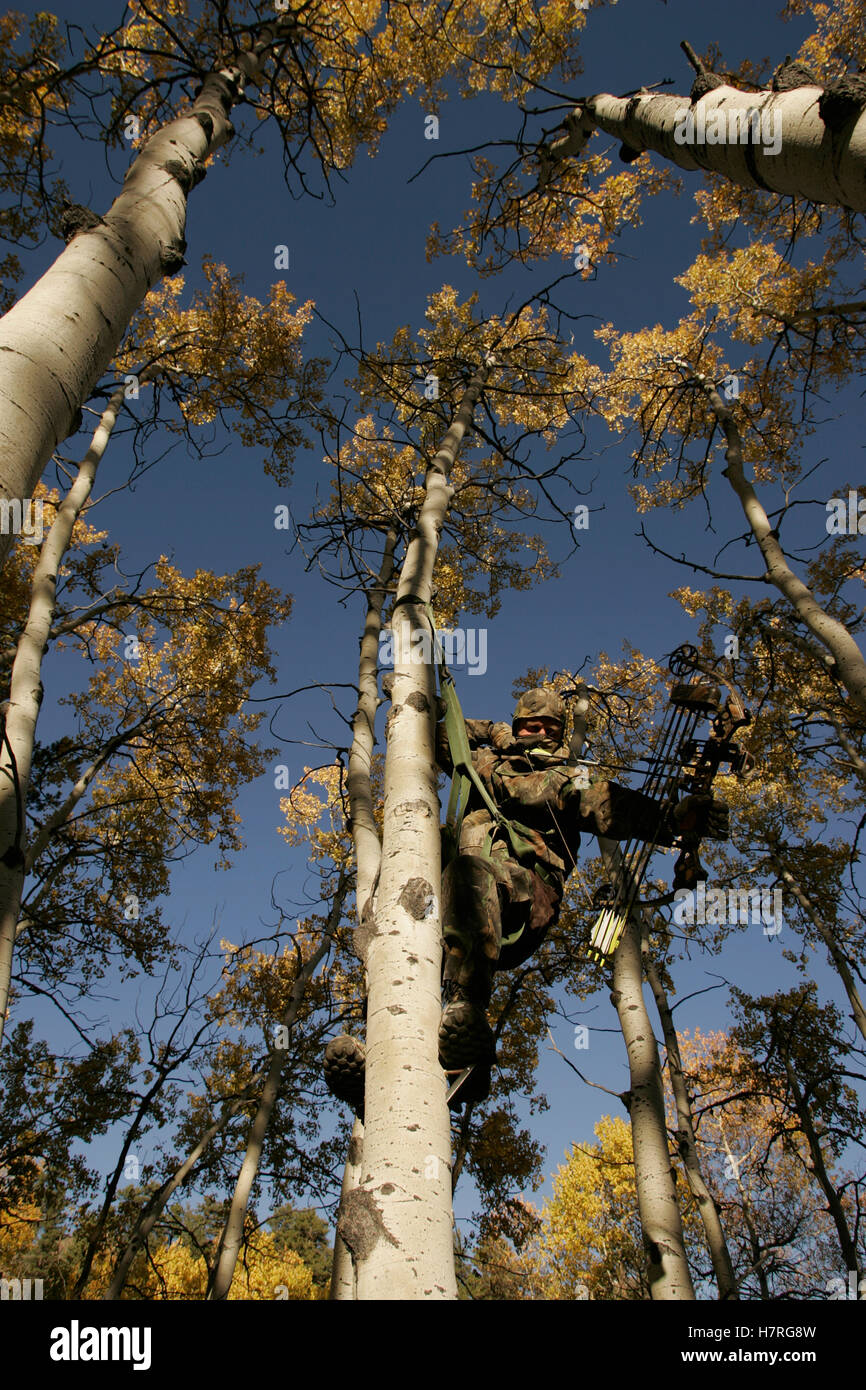 Hunter In Tree Saddle Stock Photo - Alamy
