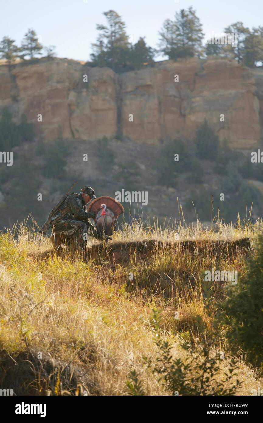 Big Game Hunting In Field Stock Photo - Alamy