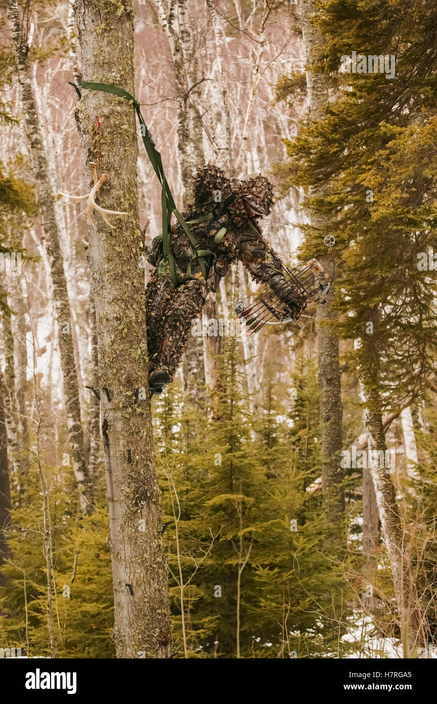 Bow hunting deer hi-res stock photography and images - Alamy