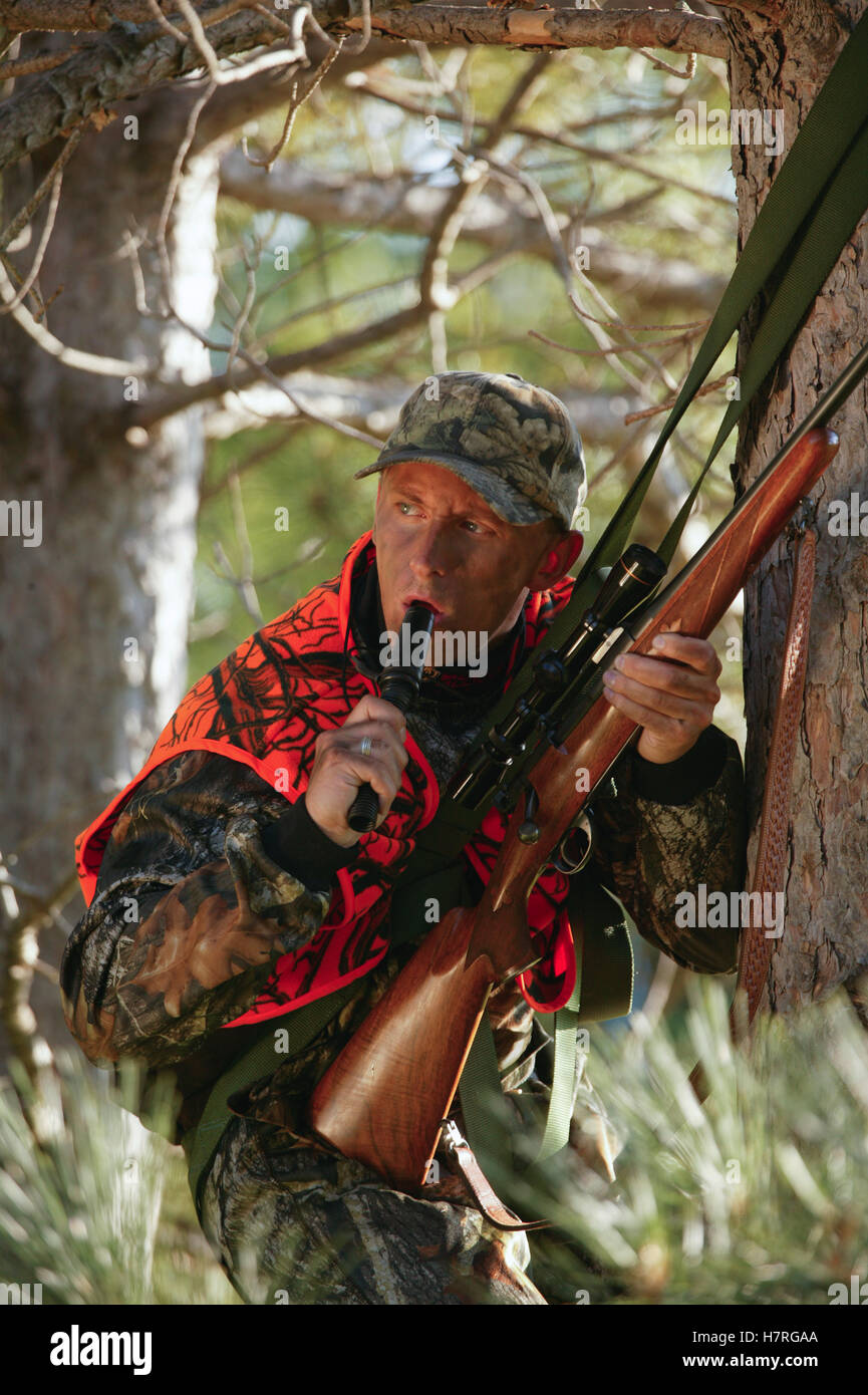 Rifle Hunter Big Game Hunter Calling With Grunt Tube Call Stock Photo ...
