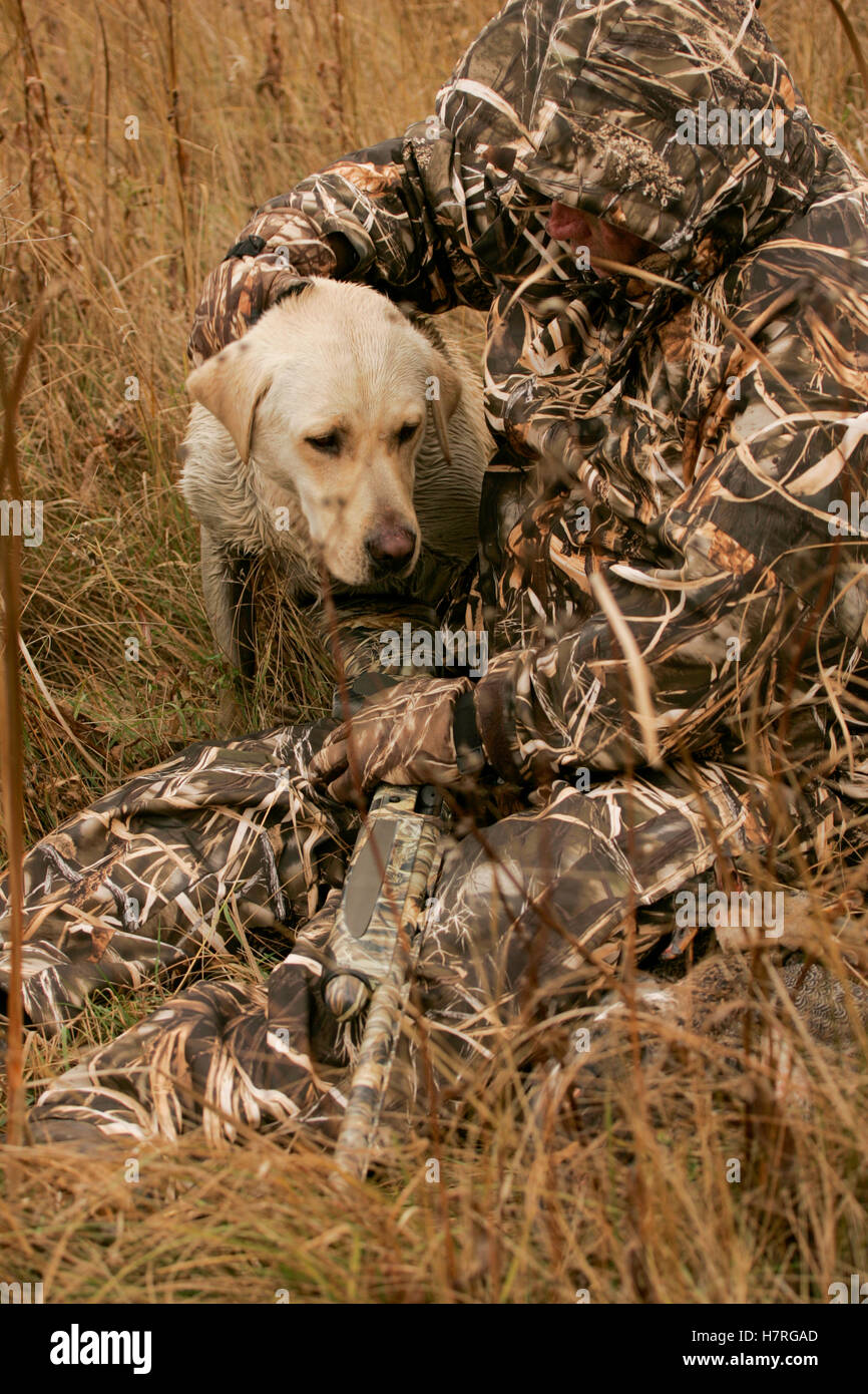 Duck Hunter With Muddy Yellow Lab Stock Photo - Alamy