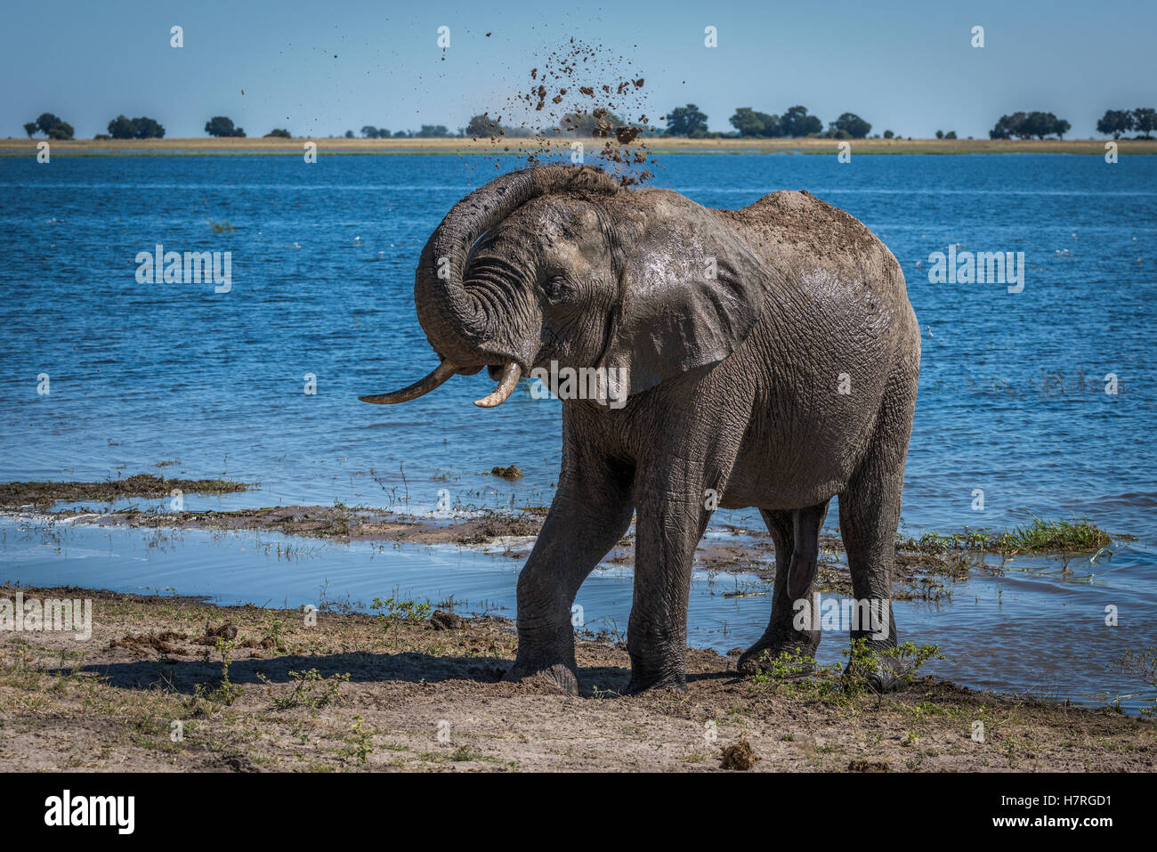 Throwing over shoulder hi-res stock photography and images - Alamy
