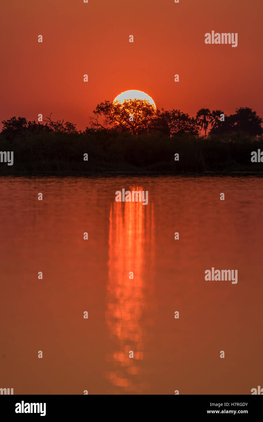 Chief’s island botswana hi-res stock photography and images - Alamy