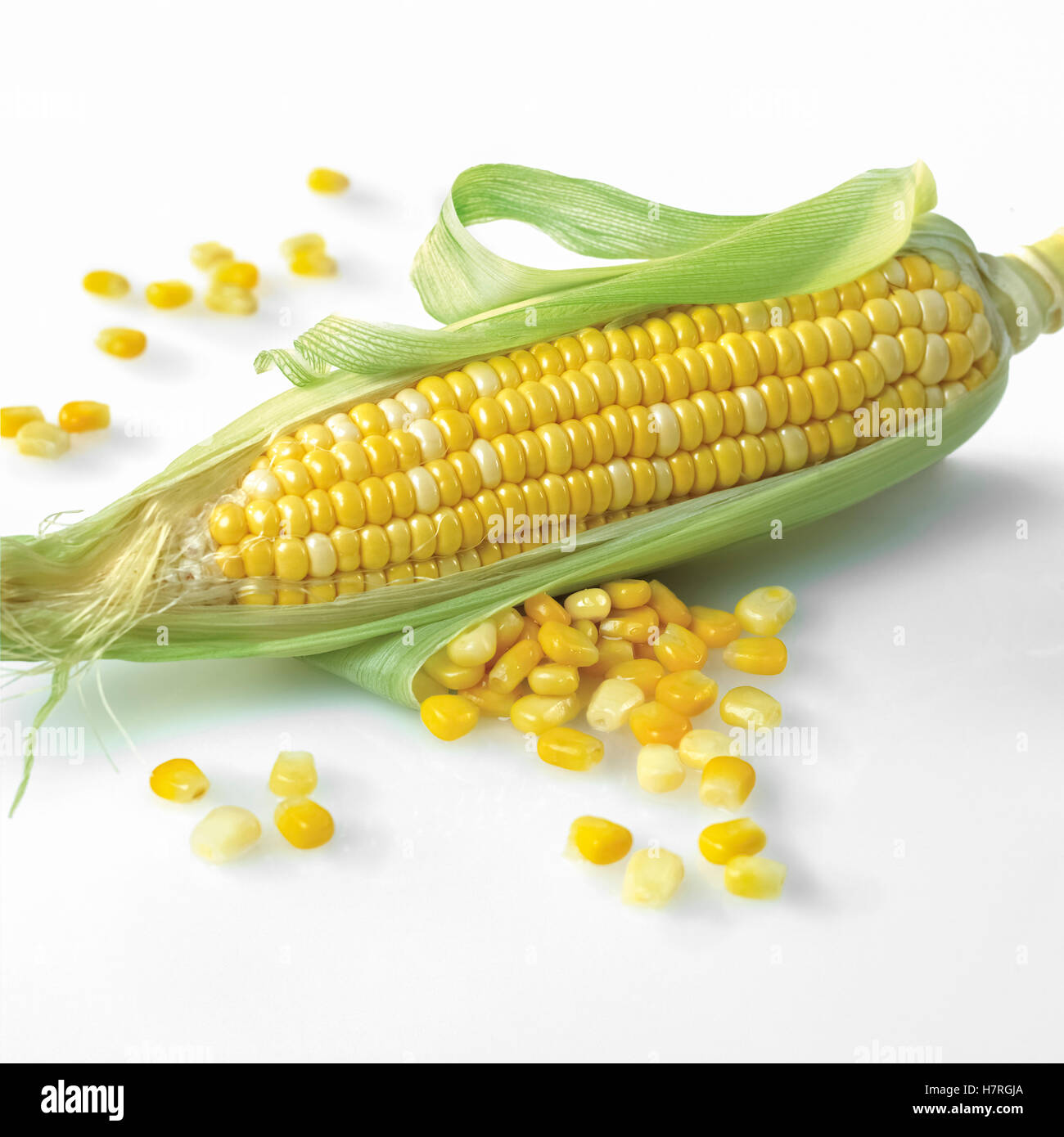 Corn on the cob on a white background Stock Photo - Alamy
