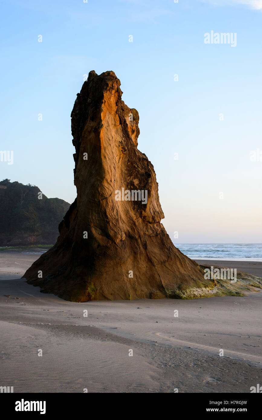 Erosion wears down a sea stack at Arcadia Beach; Arch Cape, Oregon ...