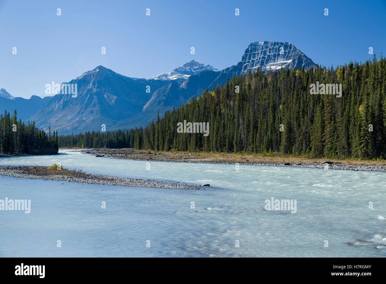 Athabasca River along Icefields Highway in Banff National Park; Alberta ...