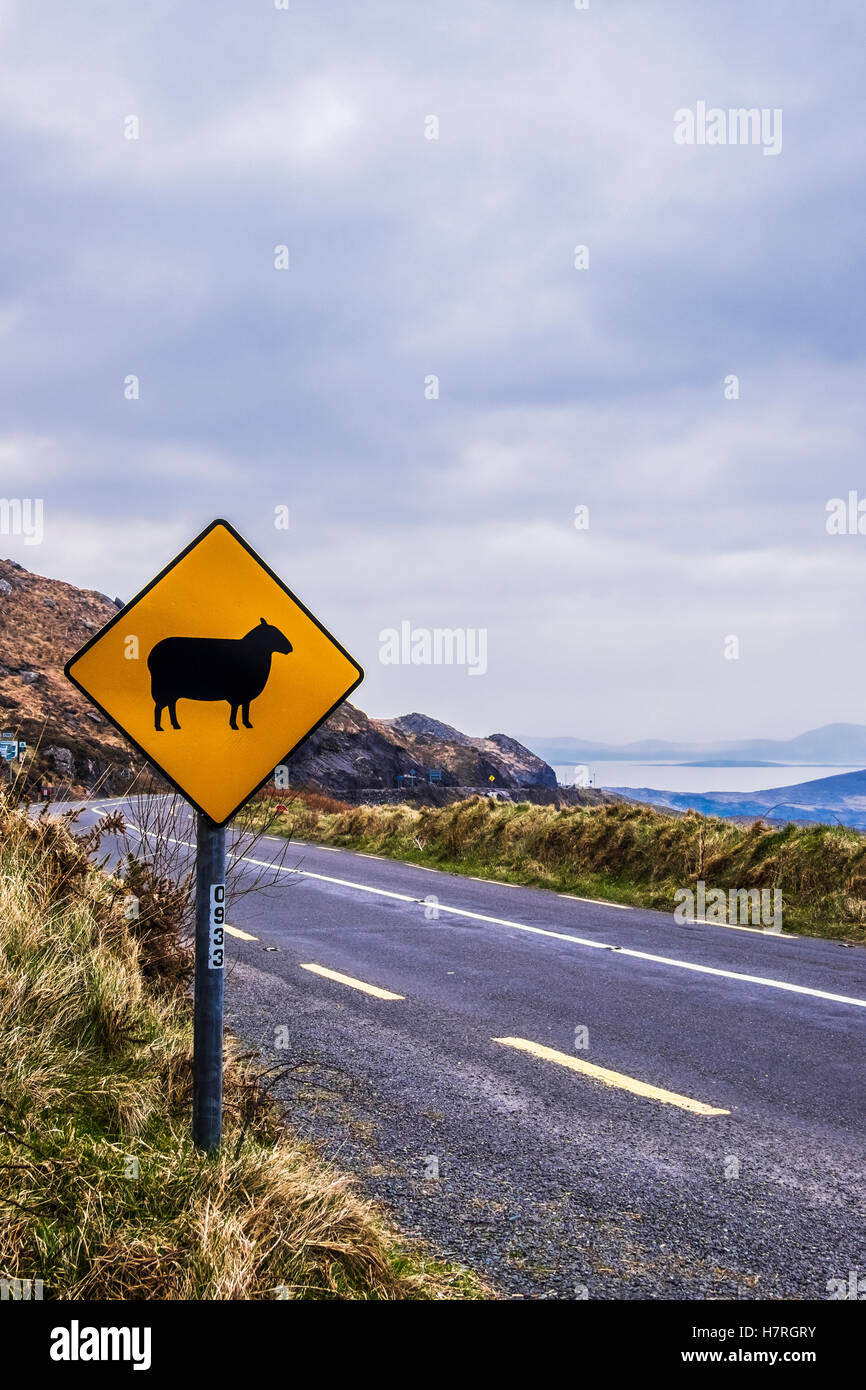 Sheep Crossing Sign High Resolution Stock Photography and Images - Alamy