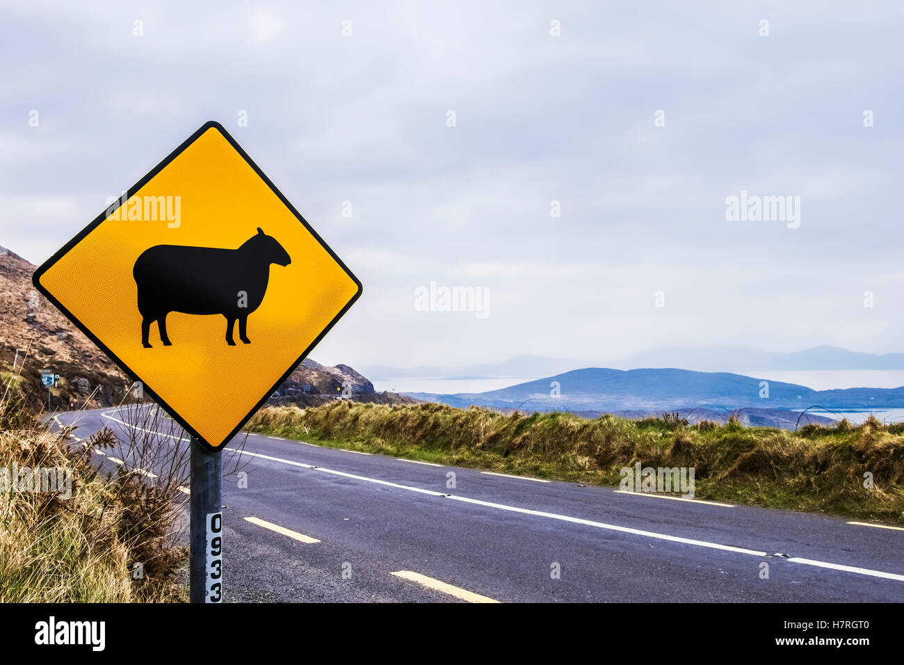 Sheep Crossing Sign High Resolution Stock Photography and Images - Alamy