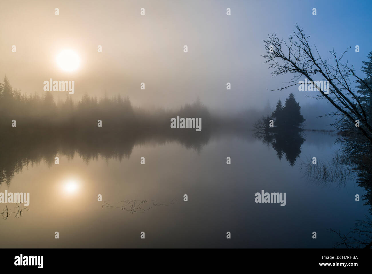 Morning fog begins to lift from a small pond in the Mendenhal ...