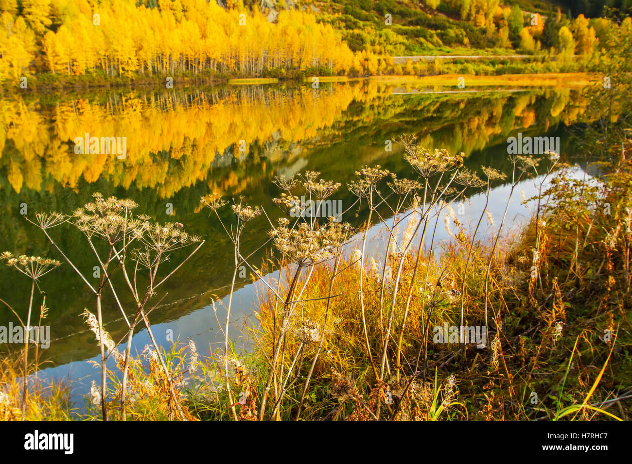 A small pond next to the Seward Highway at about Mile 88 in autumn ...