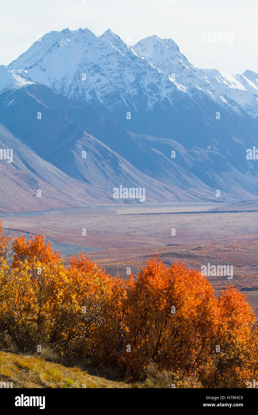 Polychrome Pass, Denali National Park and Preserve, interior Alaska in ...