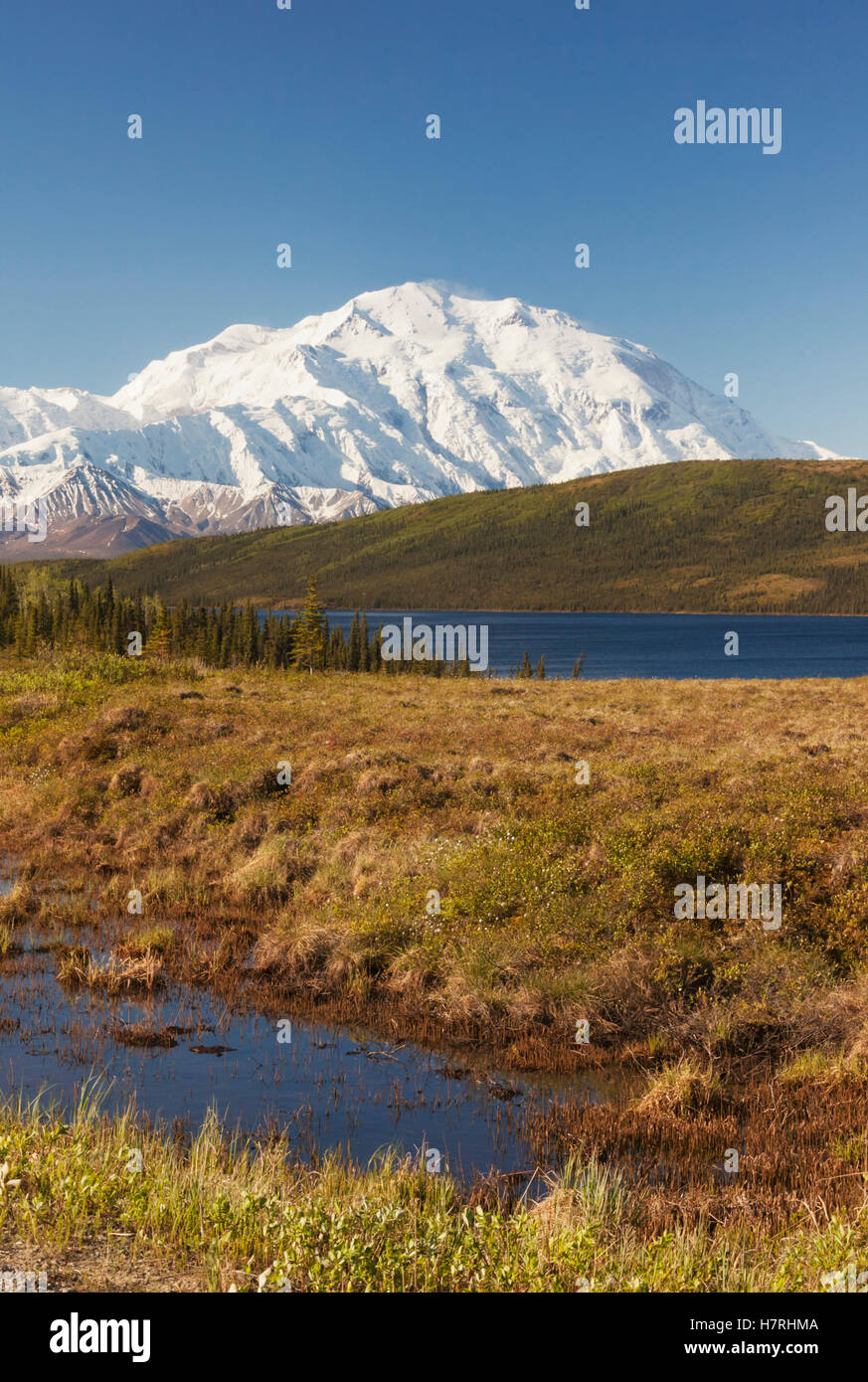 View of Denali and Alaska Range, Denali National Park and Preserve ...