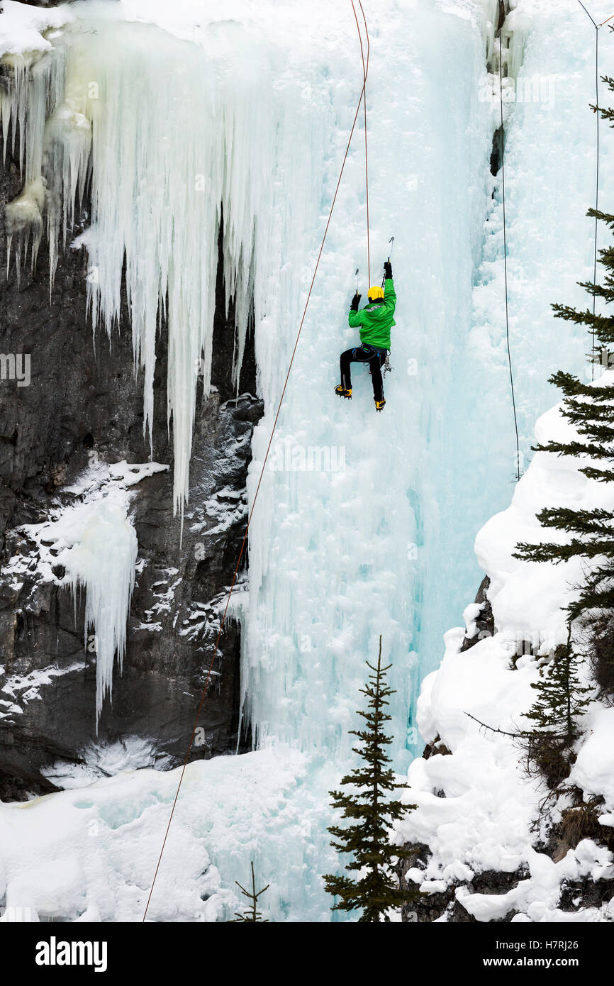 Male ice climber on frozen ice falls; Alberta, Canada Stock Photo - Alamy