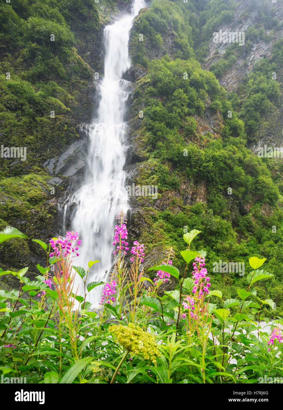 Detail Of Water Cascading Through Dark Green Vegetation On Horsetail ...