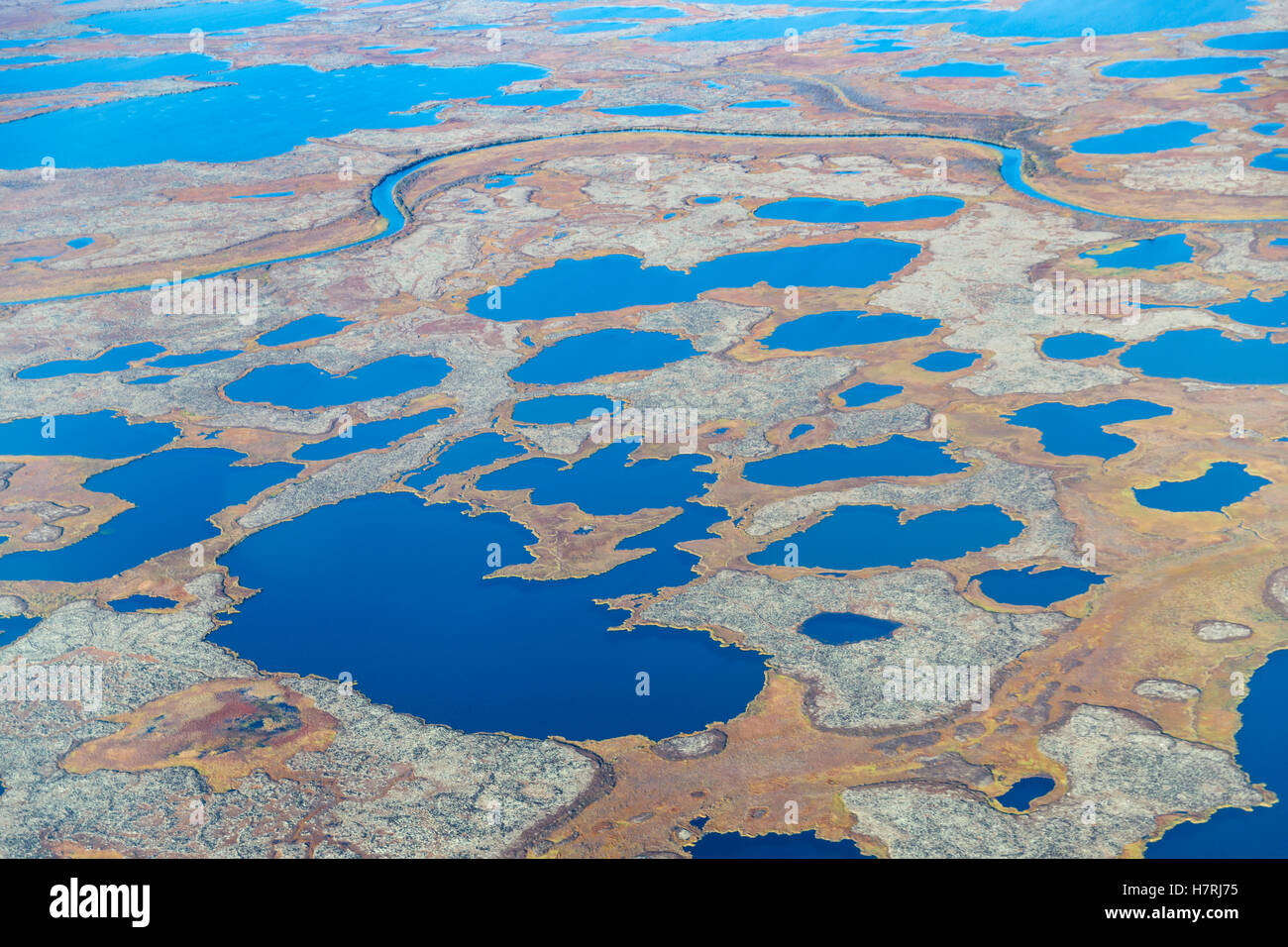 Aerial view of a stream that runs through a tundra landscape filled ...