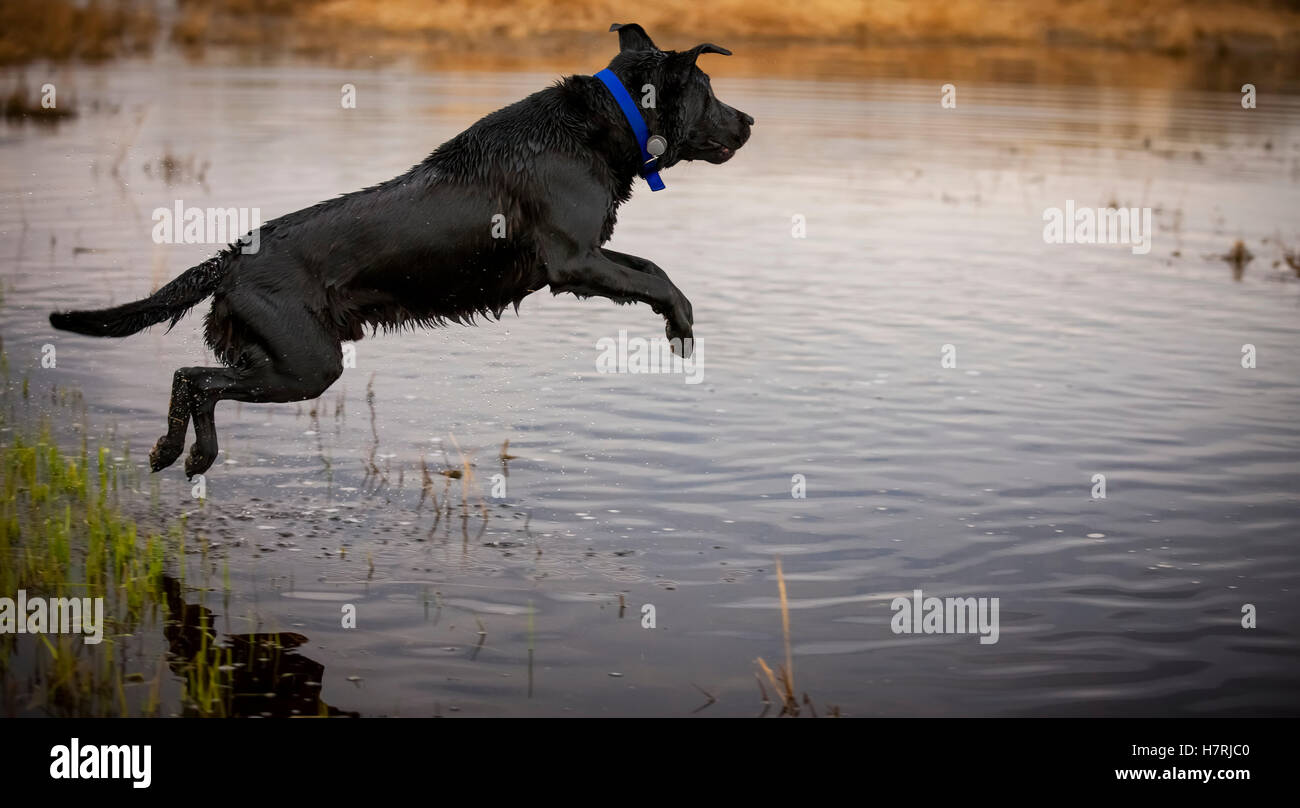 Saskatchewan shoreline hi-res stock photography and images - Alamy