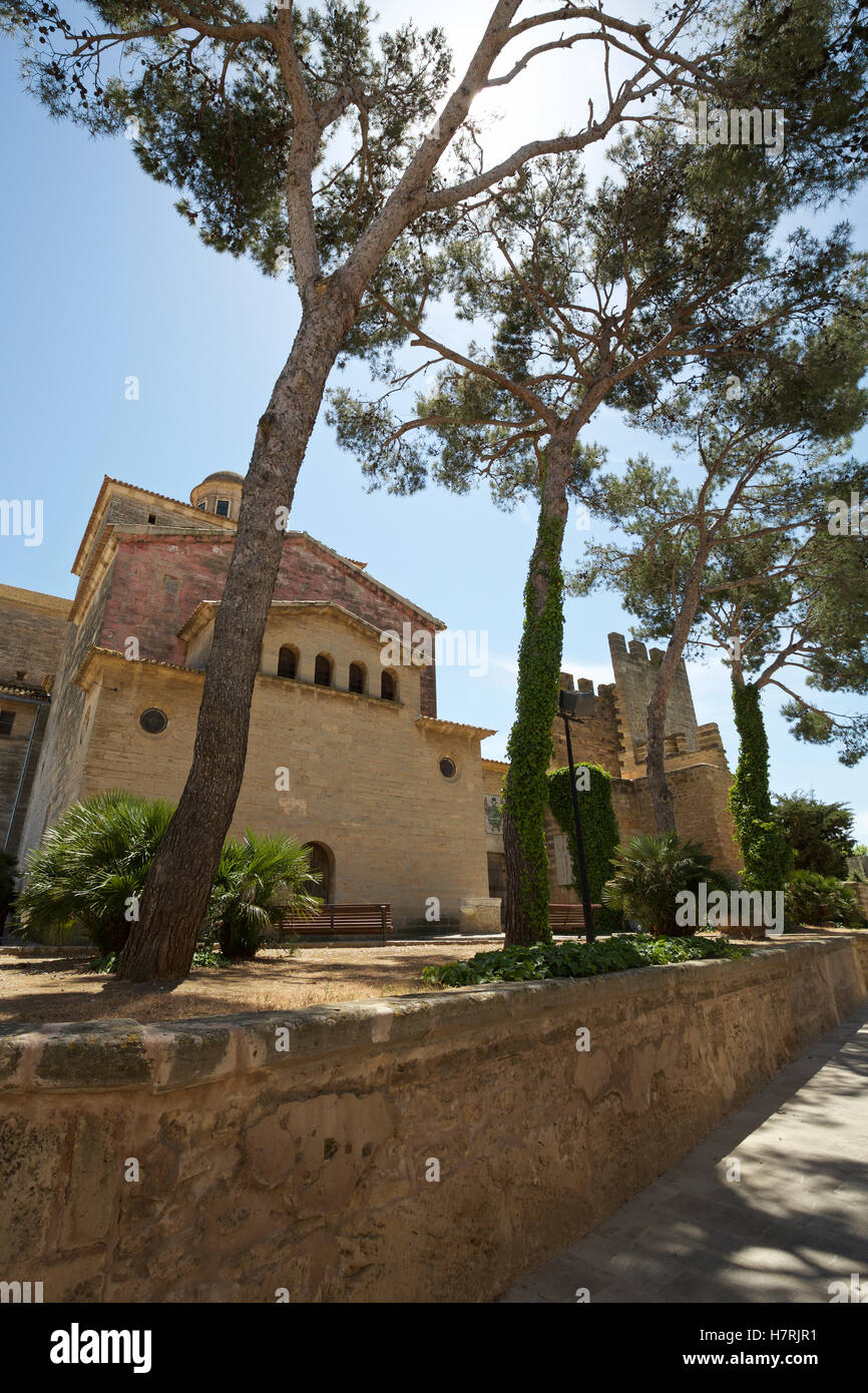 Pine trees in front of a medieval church in Mallorca Stock Photo - Alamy