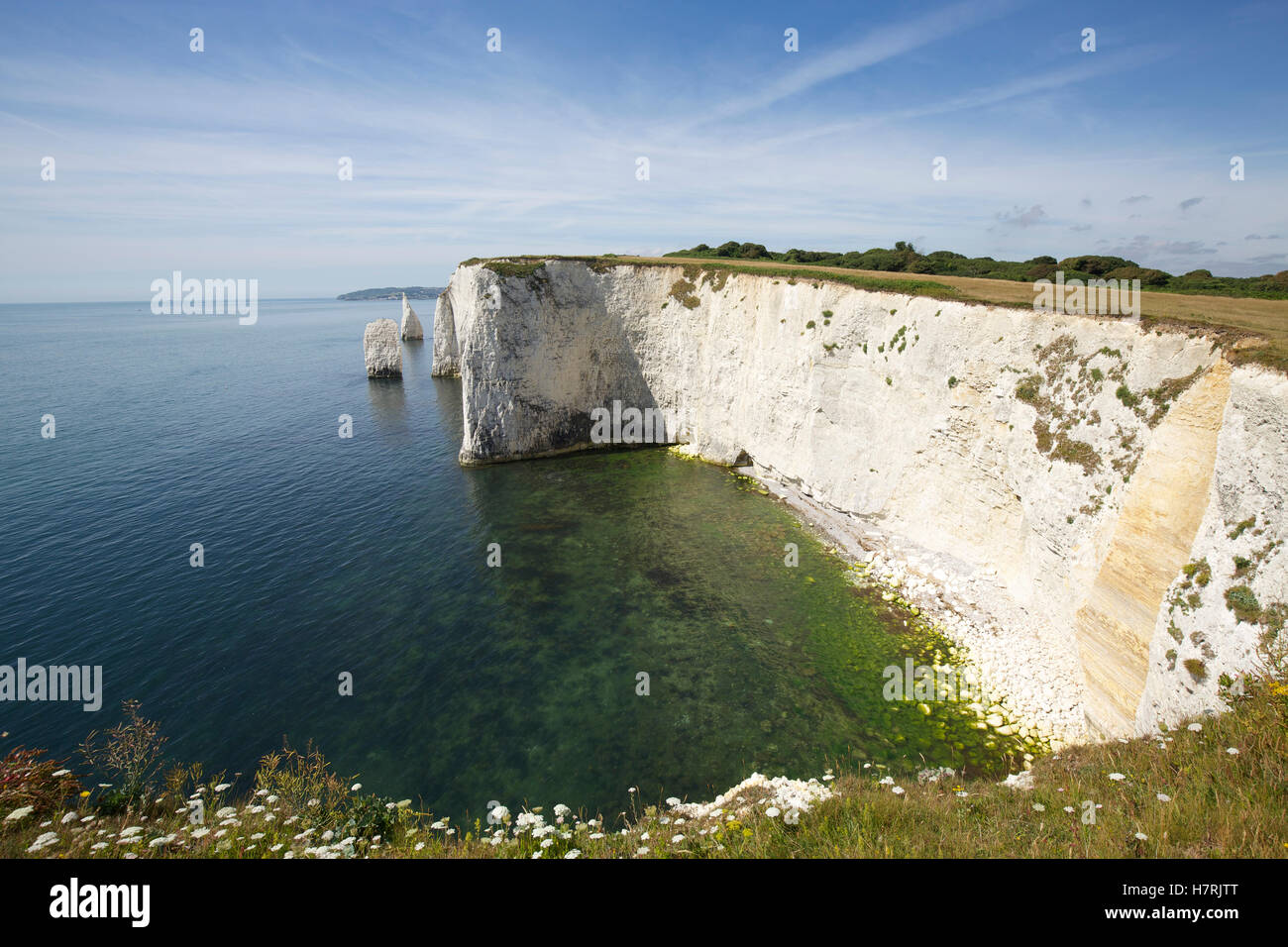 Dramatic limestone cliffs and off shore stacks set in calm blue sea ...