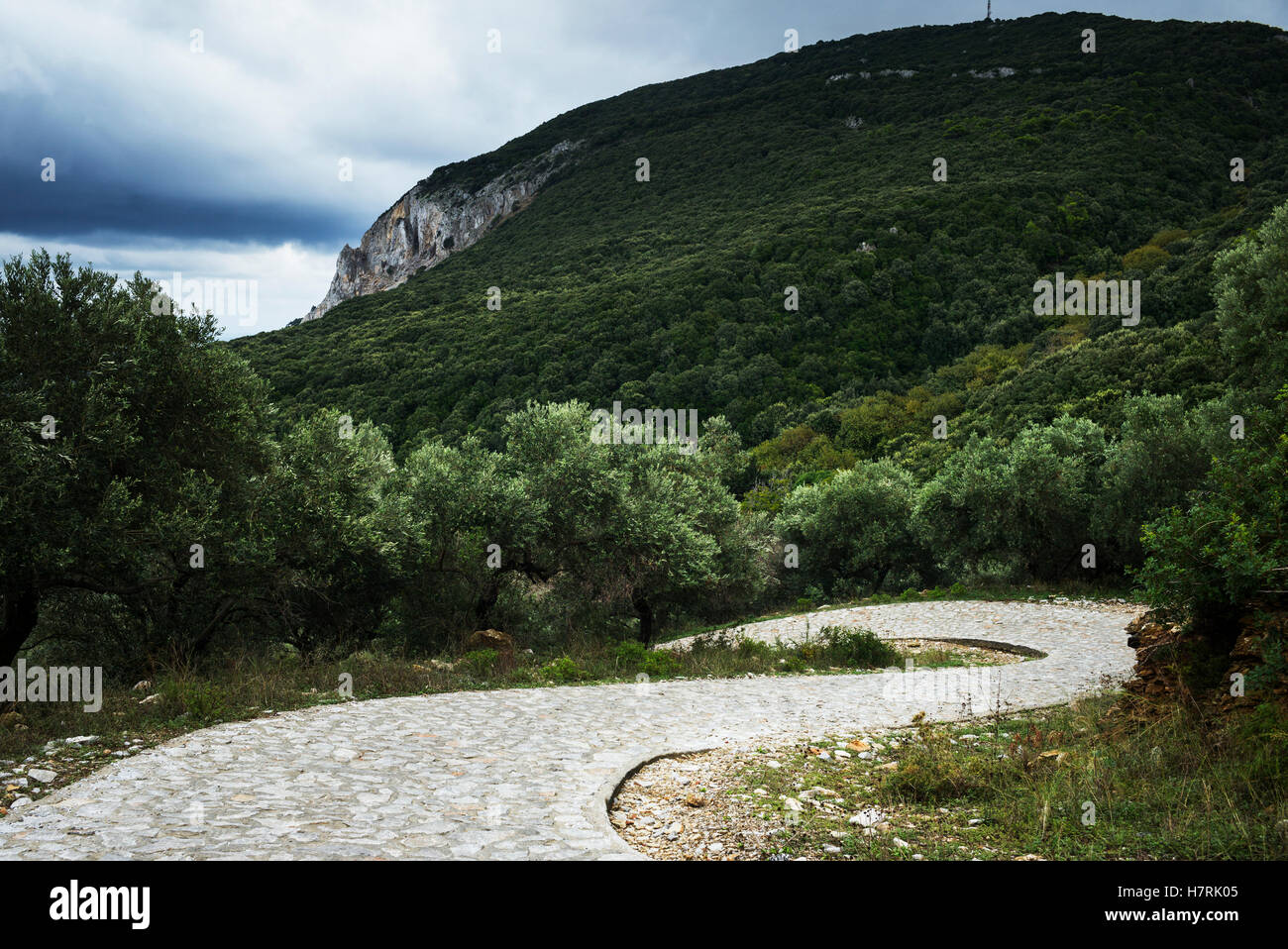 A winding cobblestone path over a forested landscape of hillsides and ...