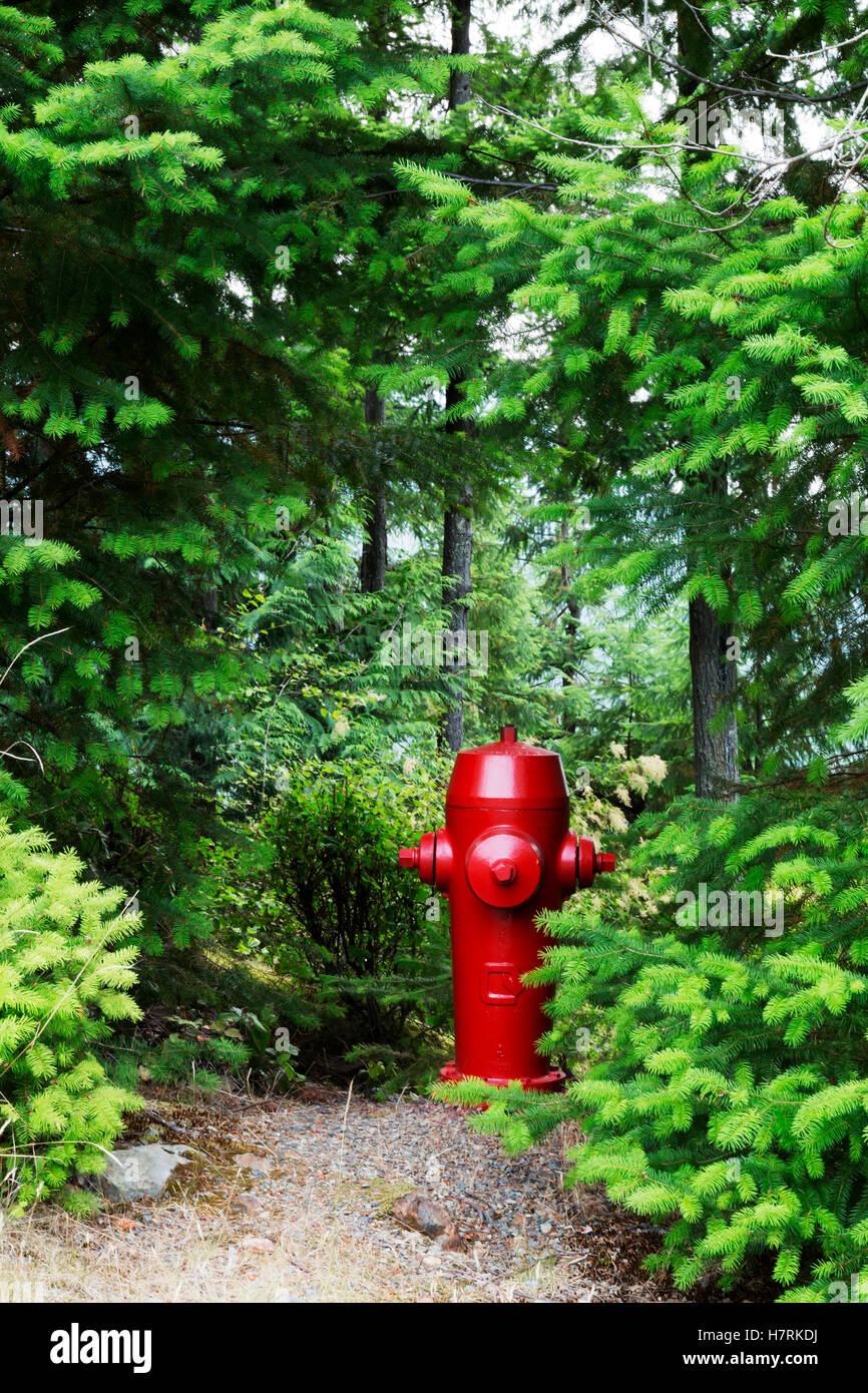 Red fire hydrant among the trees at Rivendell Retreat Centre; Bowen ...